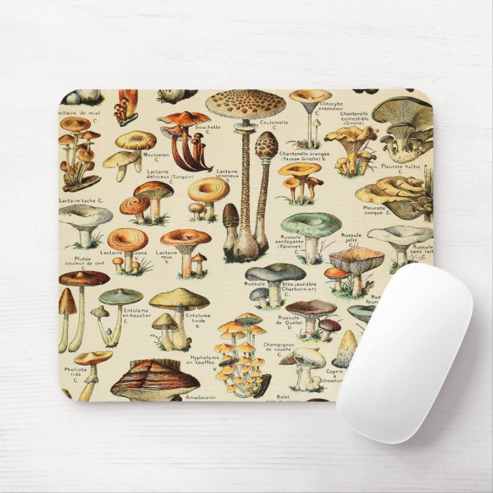 Mushroom Collection Mouse Pad | Zazzle.com