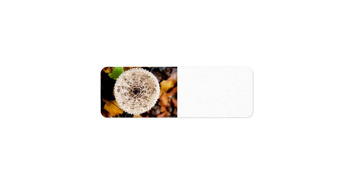 Mushroom Label | Zazzle