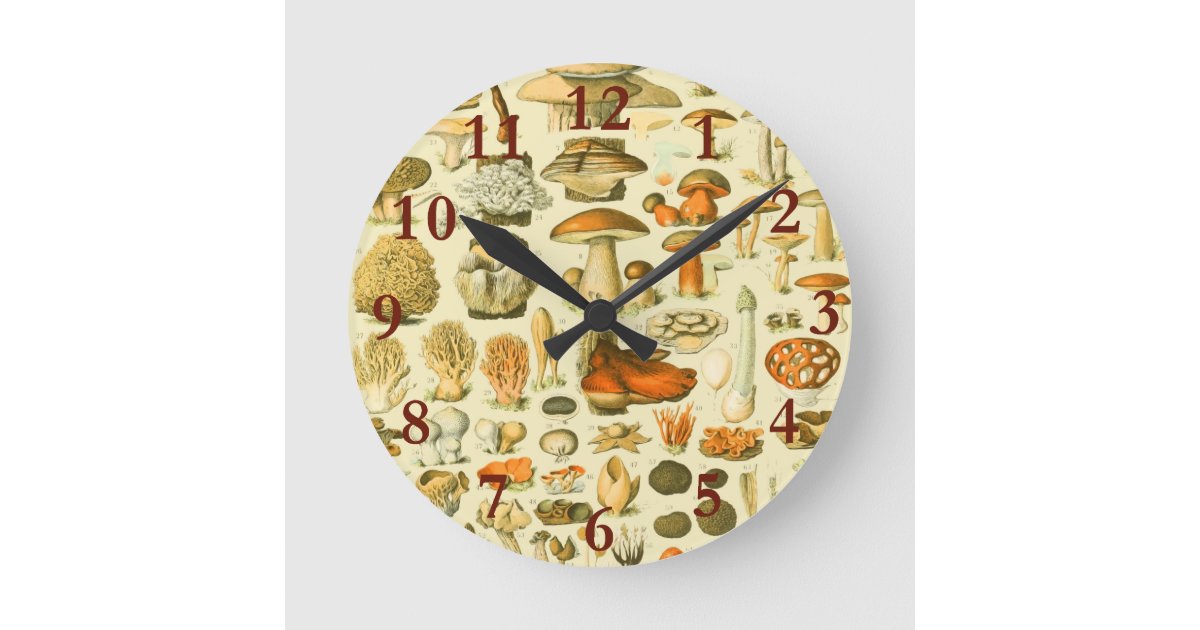 Mushroom Vintage Toadstool Antique Illustration Round Clock | Zazzle