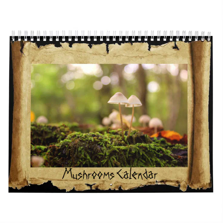 Mushrooms Calendar | Zazzle
