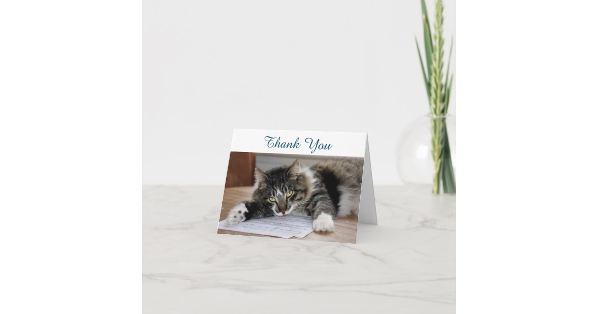Musical Cat Thank You Note Card | Zazzle