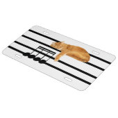 Musical orange tabby cat license plate | Zazzle