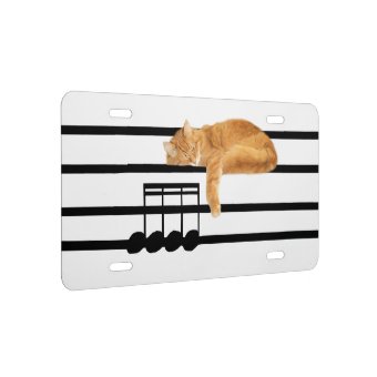 Musical orange tabby cat license plate | Zazzle
