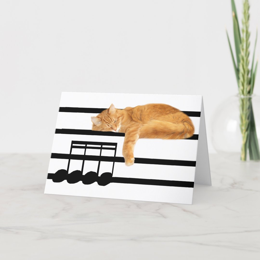 Musical tabby kitty cat card | Zazzle