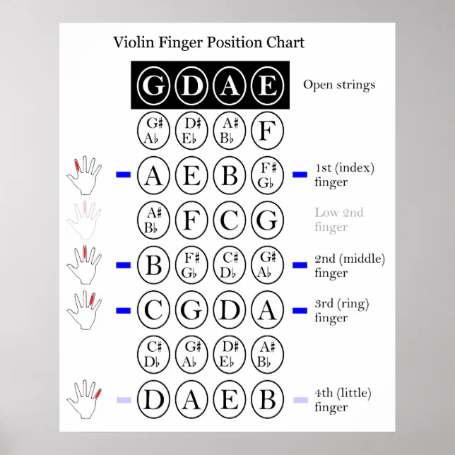 Musical Violin First Position Finger Chart | Zazzle