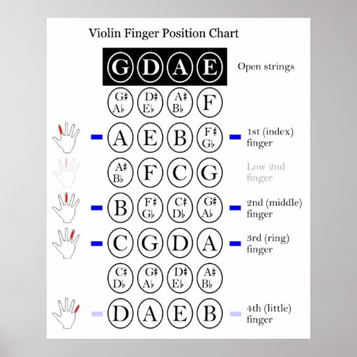 Musical Violin First Position Finger Chart Print | Zazzle