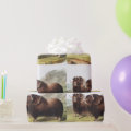 Musk Ox (Ovibos moschatus) Illustration Wrapping Paper | Zazzle