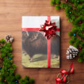 Musk Ox (Ovibos moschatus) Illustration Wrapping Paper | Zazzle
