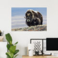 Musk Ox with Calf Poster | Zazzle