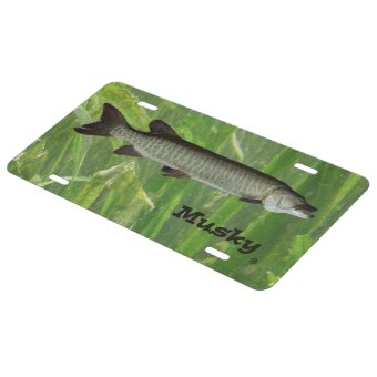 Musky License Plate | Zazzle