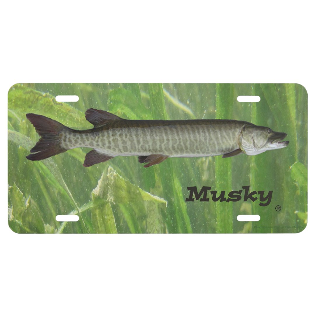 Musky License Plate | Zazzle
