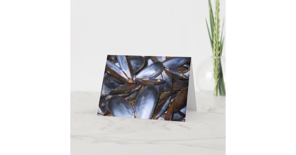 Mussel Shells Greeting Card | Zazzle