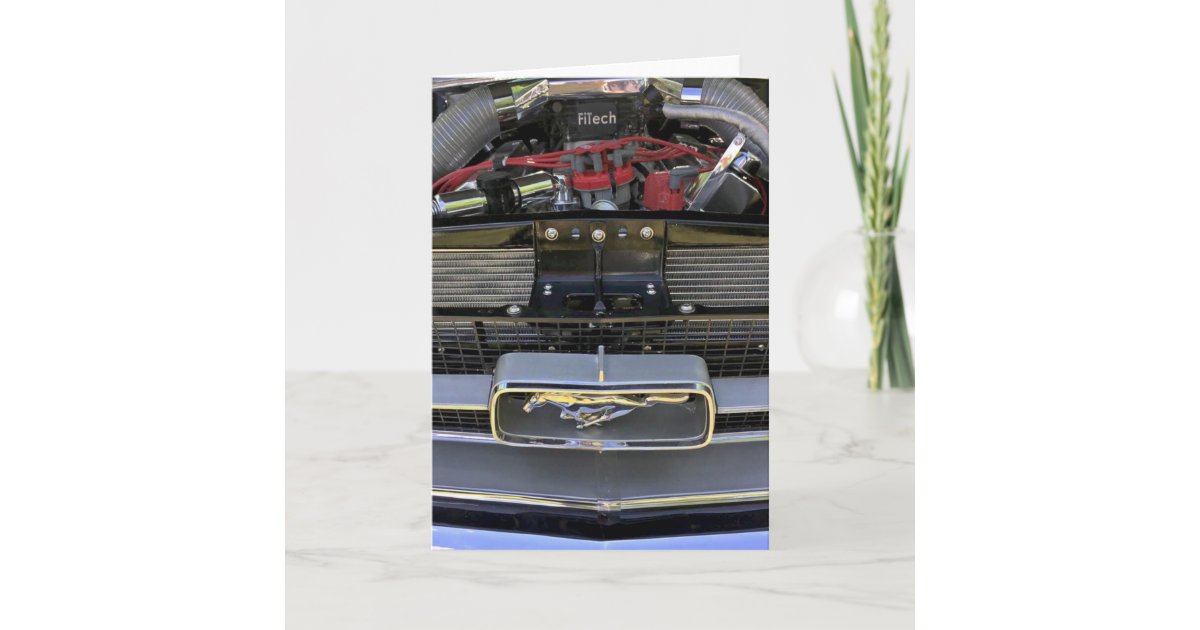 Mustang Card | Zazzle