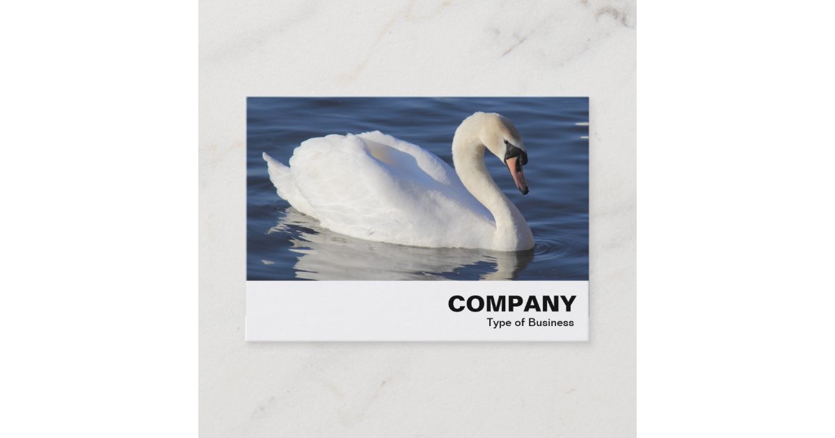 Mute Swan Business Card | Zazzle
