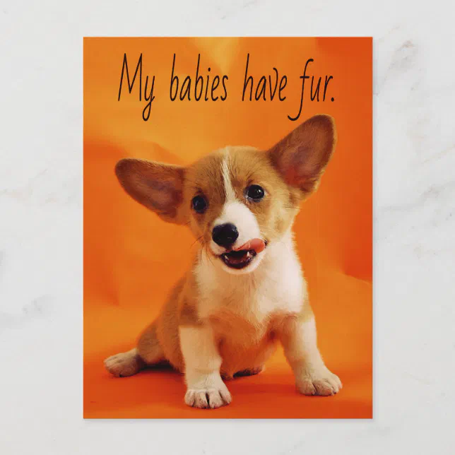 My babies have fur dog, cute puppies, puppy postcard | Zazzle