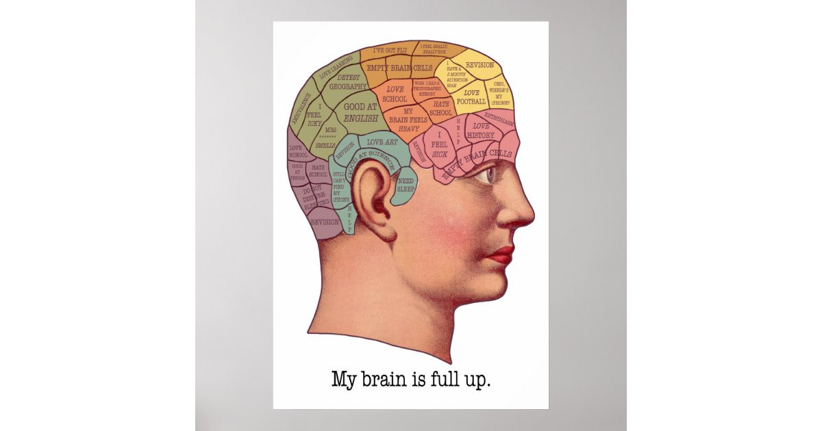 My Brain is Full Up Poster | Zazzle