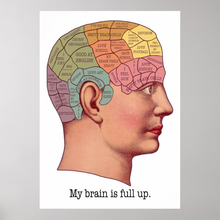 My Brain is Full Up Poster | Zazzle.com