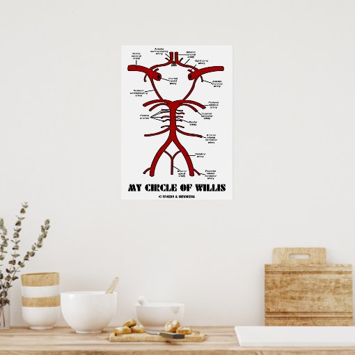 My Circle Of Willis (Anatomical Arteries) Poster | Zazzle