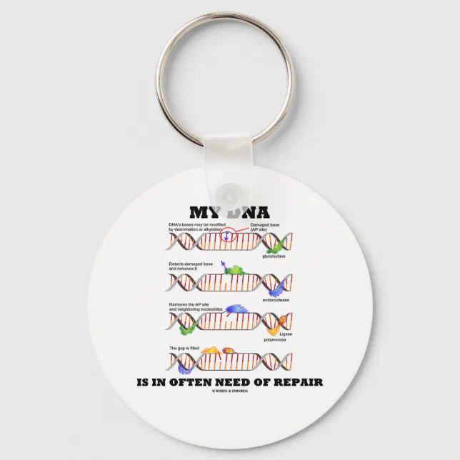 My DNA Is In Often Need Of Repair (DNA Humor) Keychain | Zazzle