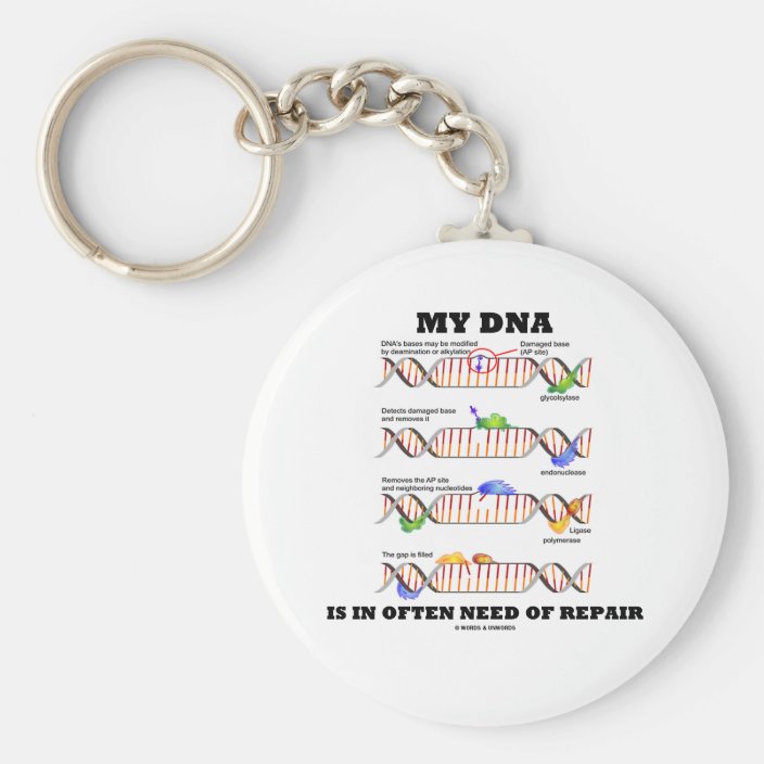 My DNA Is In Often Need Of Repair (DNA Humor) Keychain | Zazzle.com