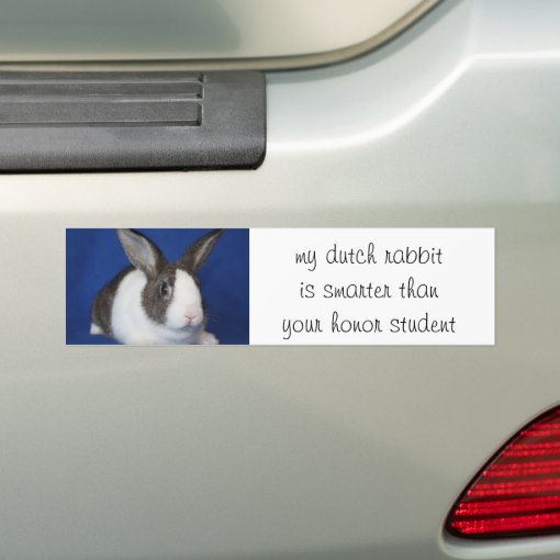 "my Dutch Rabbit..." Bumper Sticker | Zazzle