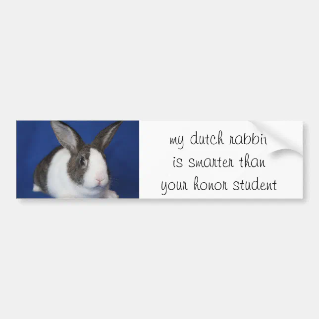 "my Dutch Rabbit..." Bumper Sticker | Zazzle