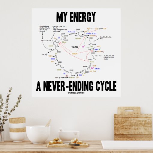 My Energy A Never-Ending Cycle (Krebs Cycle) Poster | Zazzle