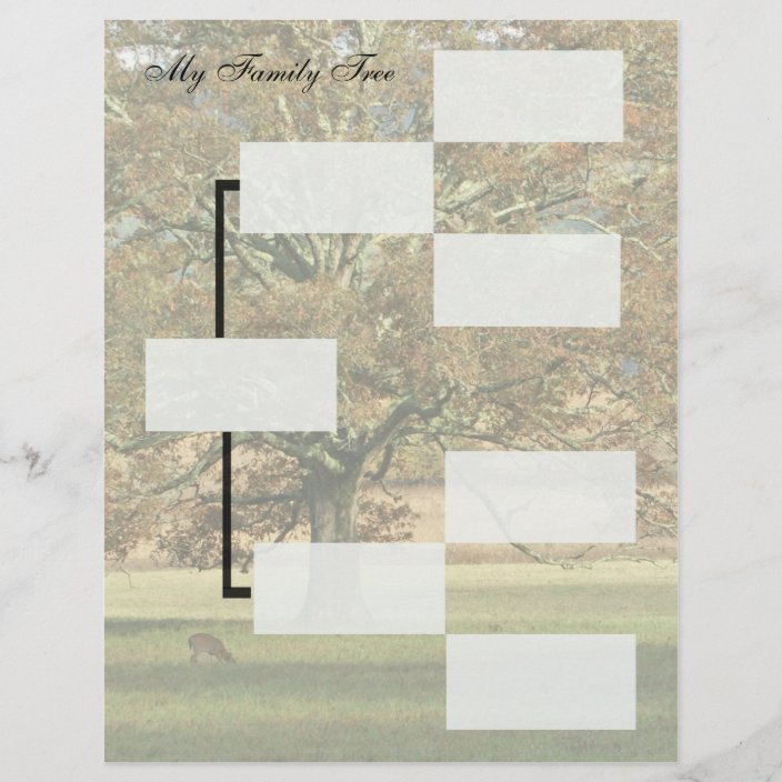 My Family Tree Ancestor Chart | Zazzle.com