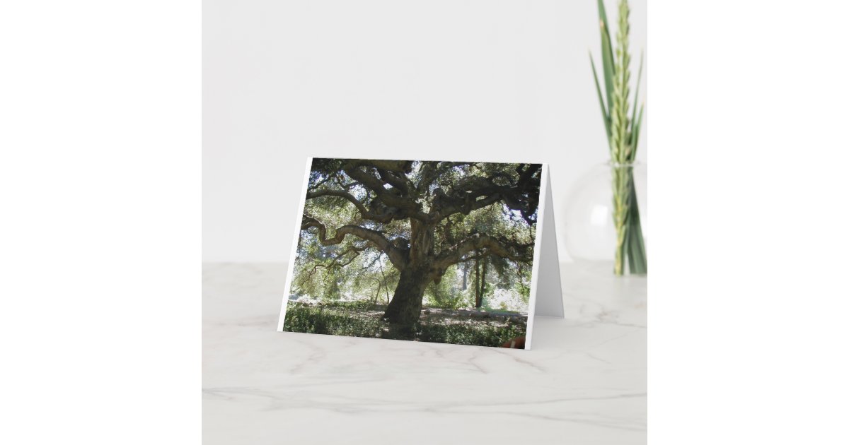 My Favorite Oak Tree Card | Zazzle