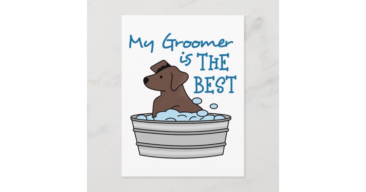 My Groomer Postcard | Zazzle