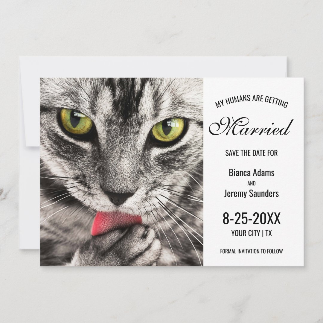 My Humans are Getting Married Cat Photo Wedding Save The Date | Zazzle