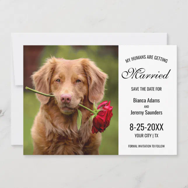 My Humans are Getting Married Dog Photo Wedding Save The Date | Zazzle
