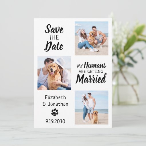 My Humans Are Getting Married Dog Wedding Photo Save The Date | Zazzle