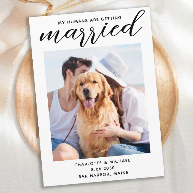 My Humans Are Getting Married Dog Wedding Photo Save The Date | Zazzle