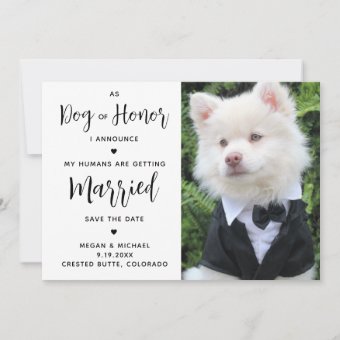 My Humans Are Getting Married - Dog Wedding Save The Date | Zazzle