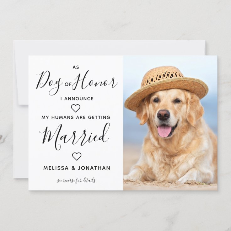 My Human's Are Getting Married Pet Dog Photo Invitation | Zazzle