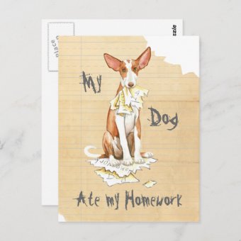 My Ibizan Hound Ate My Homework Postcard | Zazzle