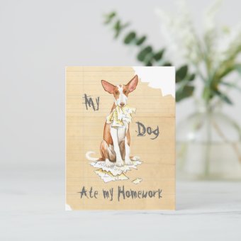 My Ibizan Hound Ate My Homework Postcard | Zazzle