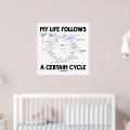 My Life Follows A Certain Cycle (Krebs Cycle) Poster | Zazzle