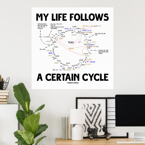 My Life Follows A Certain Cycle (Krebs Cycle) Poster | Zazzle