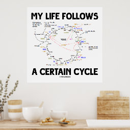 My Life Follows A Certain Cycle (Krebs Cycle) Poster | Zazzle