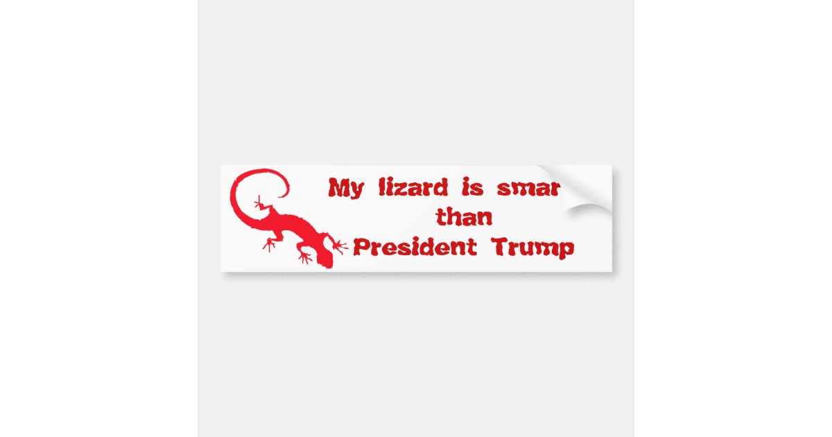 My lizard is smarter than President Trump Bumper Sticker | Zazzle