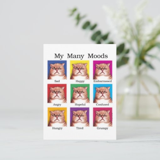 My Many Moods Postcard | Zazzle
