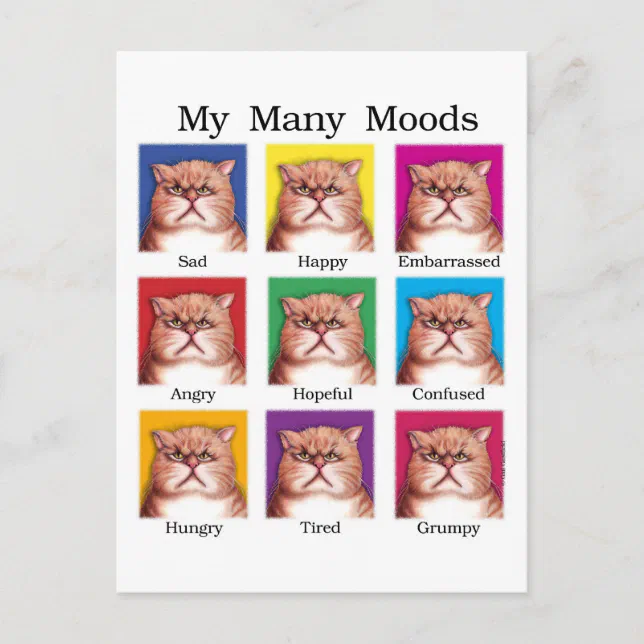 My Many Moods Postcard | Zazzle