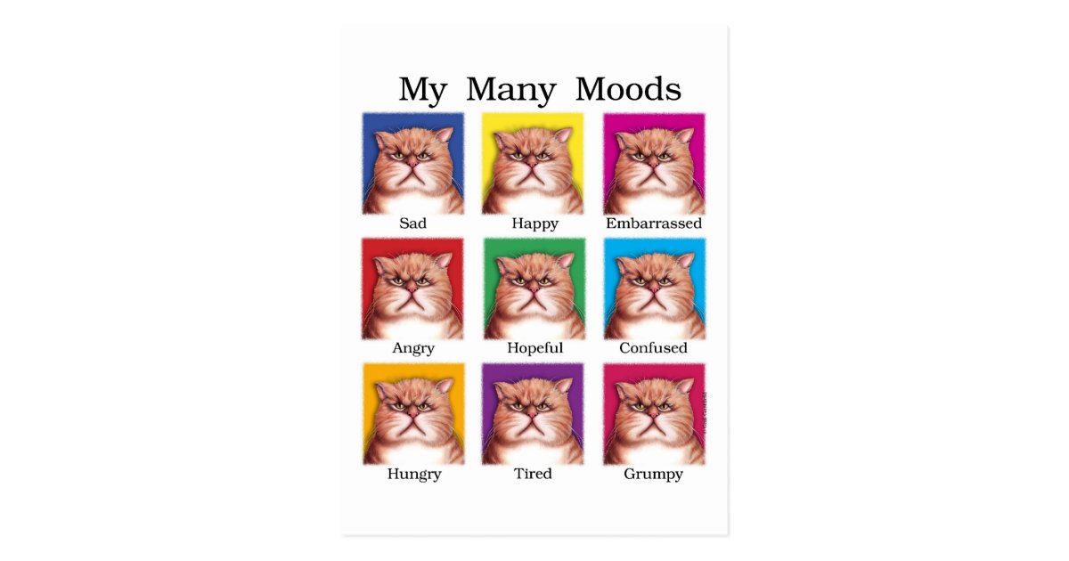 My Many Moods Postcard | Zazzle.com