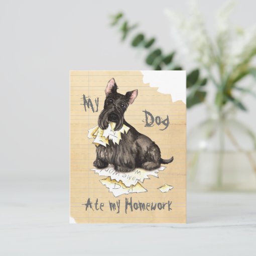 My Scottie Ate my Homework Postcard | Zazzle