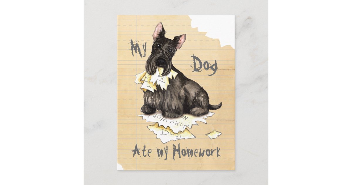 My Scottie Ate my Homework Postcard | Zazzle