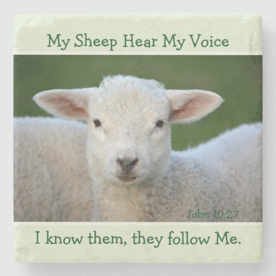 My Sheep Hear My Voice, Bible Verse John 10:27, Stone Coaster | Zazzle.com