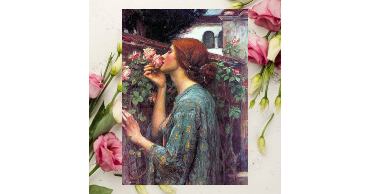 My_Sweet_Rose Postcard | Zazzle
