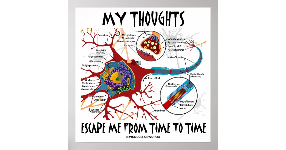 My Thoughts Escape Me From Time To Time (Neuron) Poster | Zazzle